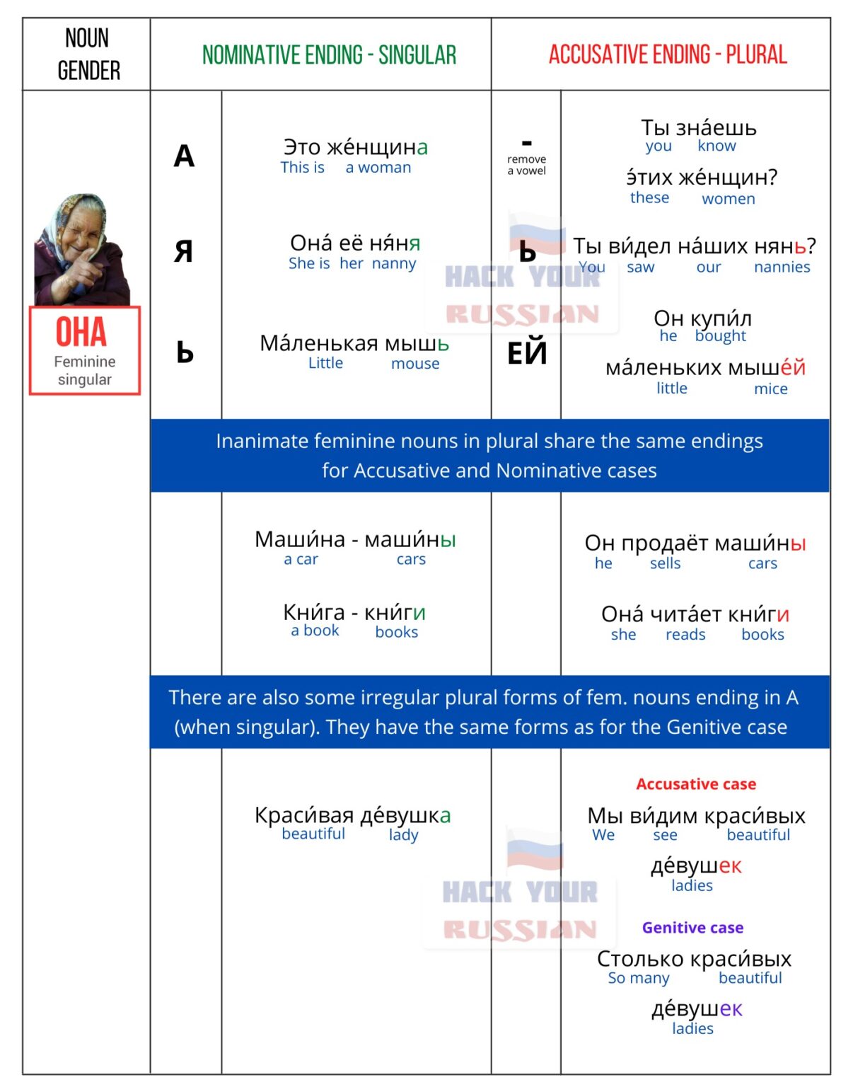 Russian Accusative Case Guide: Rules, Endings & Examples