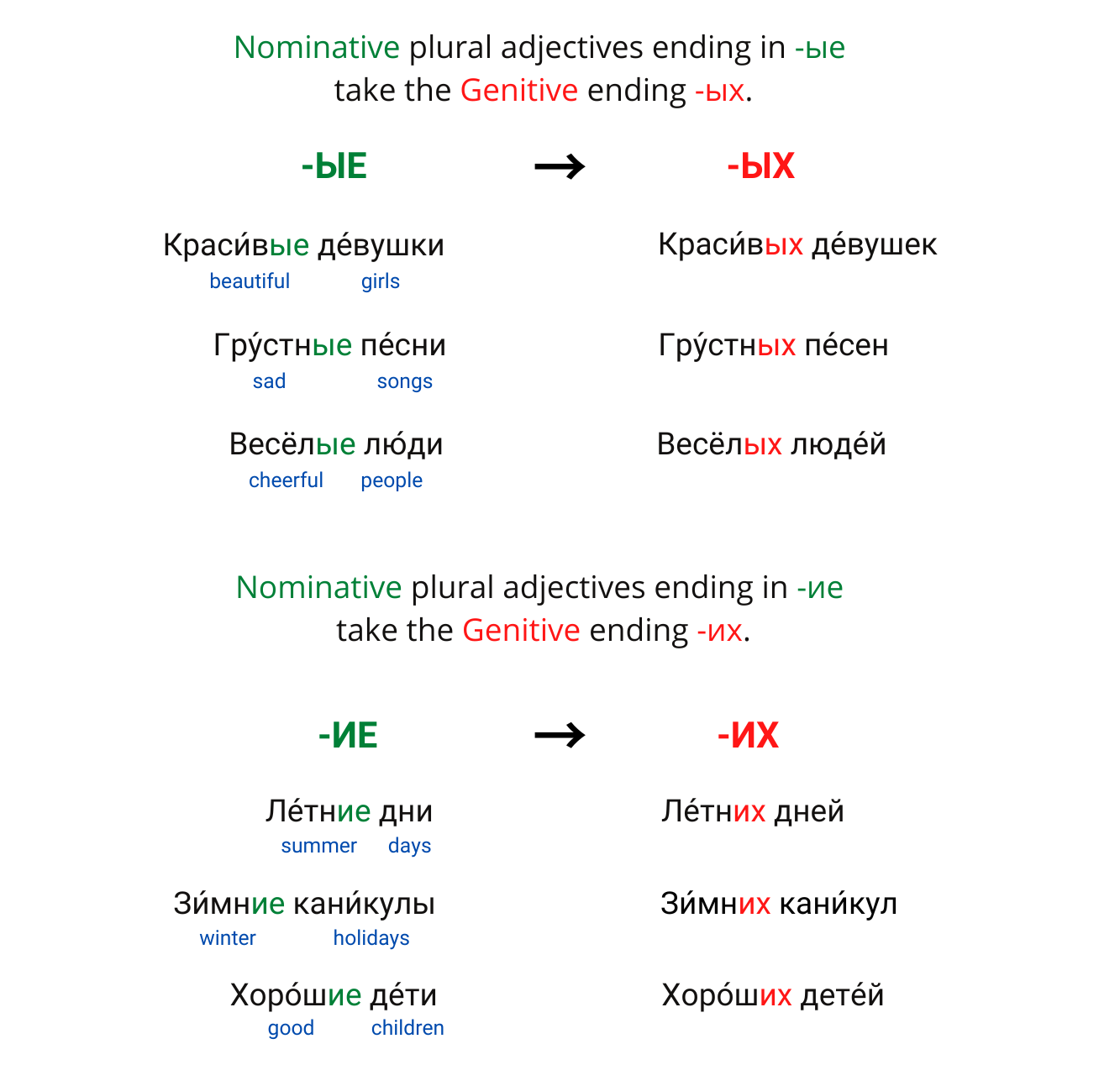 Russian Genitive Case Guide: Master Endings & Rules